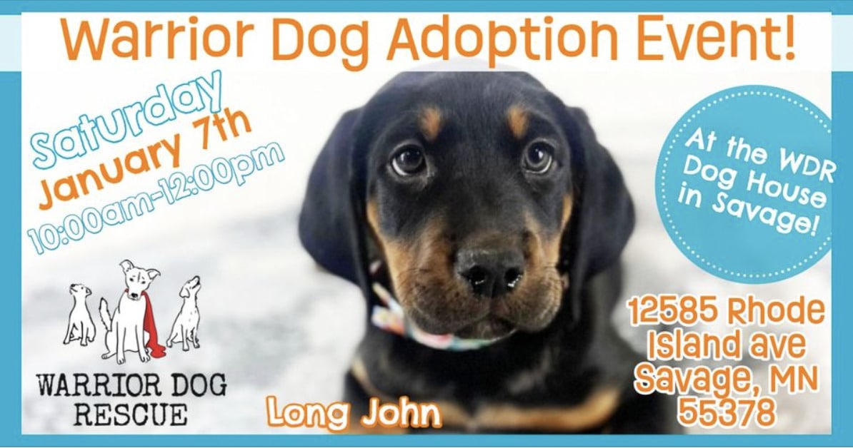 ADOPTION EVENT! - Warrior Dog Rescue