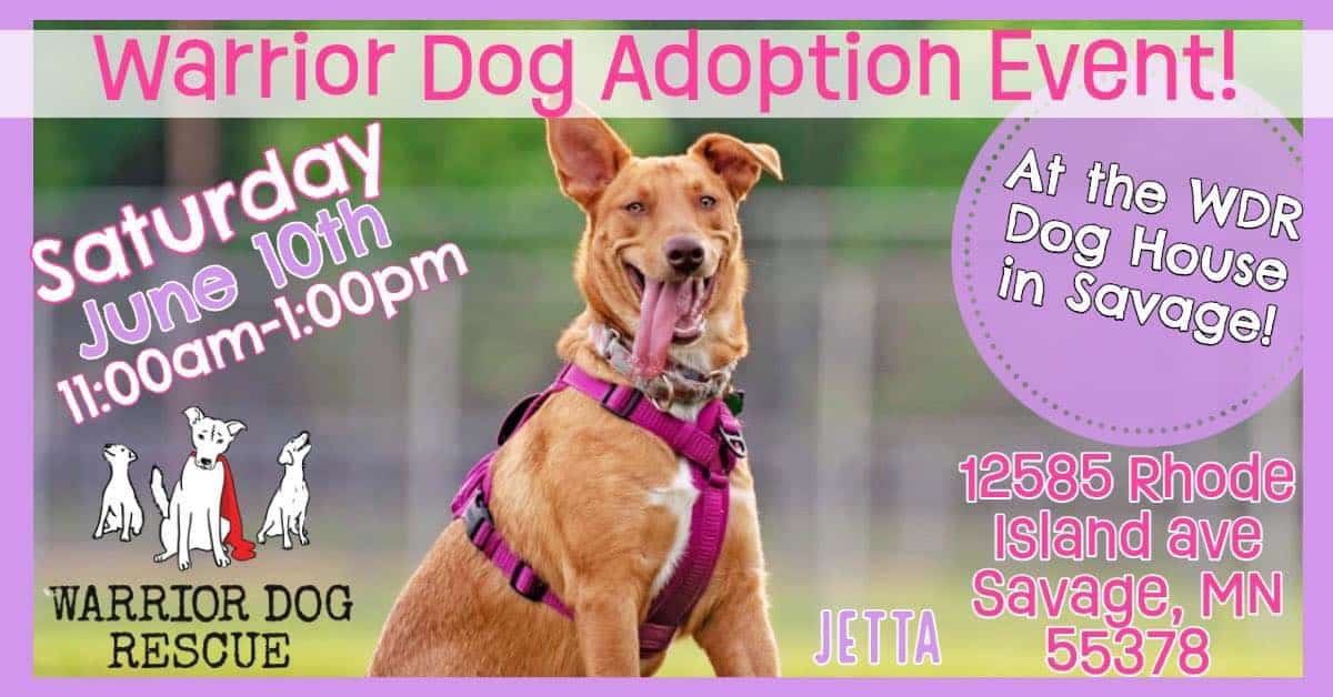 Adoption Event at The Dog House! - Warrior Dog Rescue